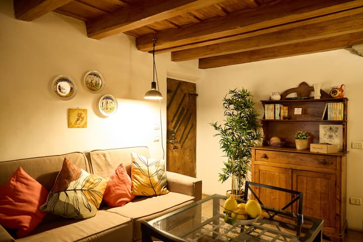 Santo Spirito Historic Studio Apartment - Florence