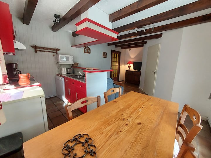 Appartement 6p à 200m Des Pistes - La Clusaz - La Clusaz