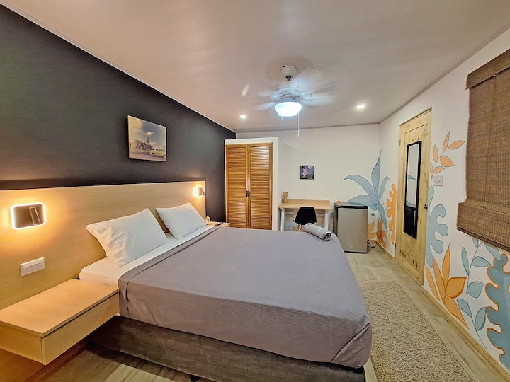 Jungla Urbana Bnb Room#8 Basic Double Adult Only - San José, Costa Rica