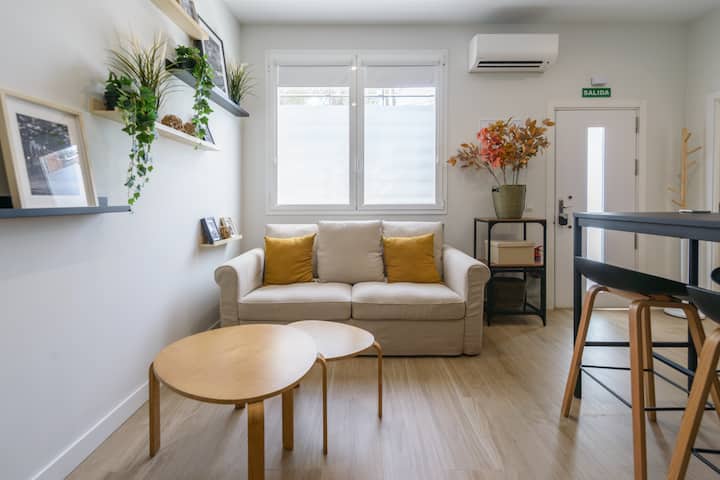 Manzanares Flat - Madrid