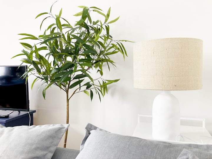 Charmant T2 Hyper Centre - Vannes