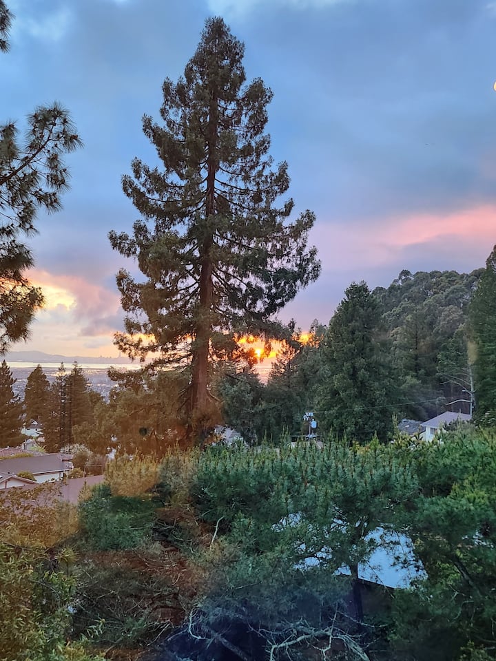 Tranquil Home In The Trees - Oakland, CA