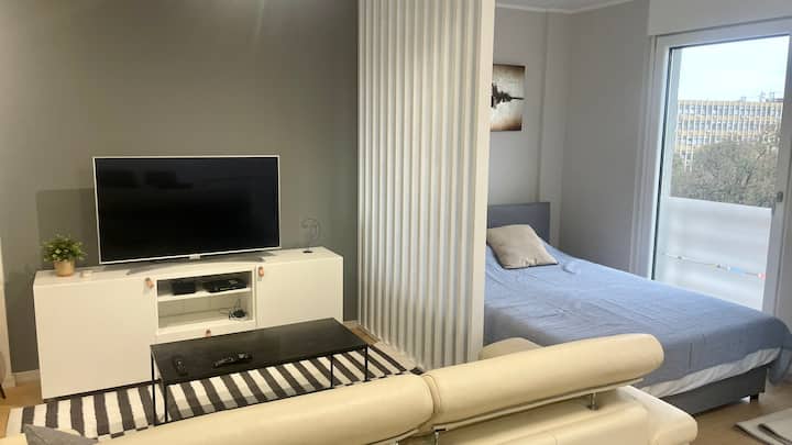 Centrally Located In Novi Sad - Novi Sad