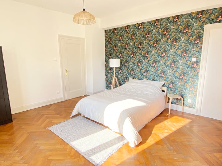 Student Co-living 3 - Strasburgo