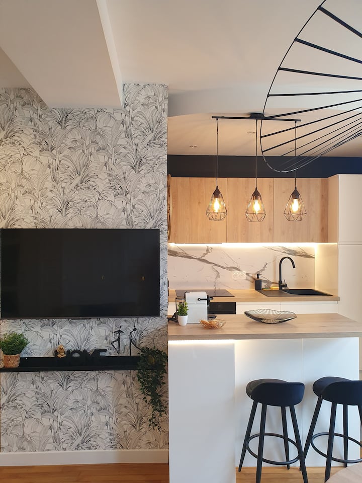 Le Jaurès :  Duplex En Hypercentre - Troyes