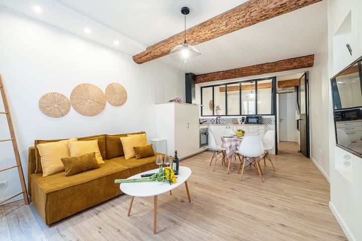 2 Bedrooms In Old Town + A/c - Castel Plage - Nice