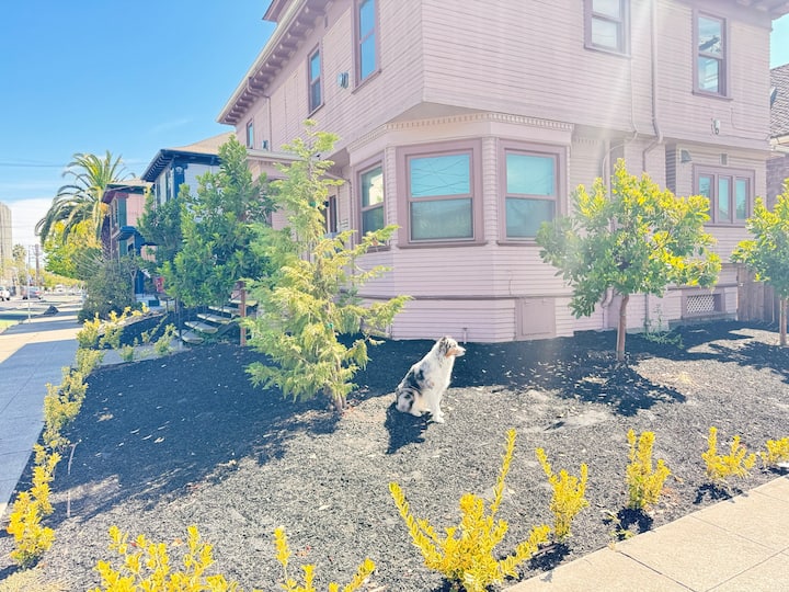 Central & Safe | Walk To Uc Berkeley Campus - Telluride Film Festival