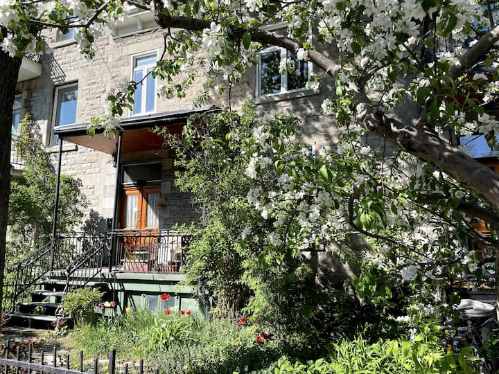 Your Family Home Away From Home! Mile End - Montreal