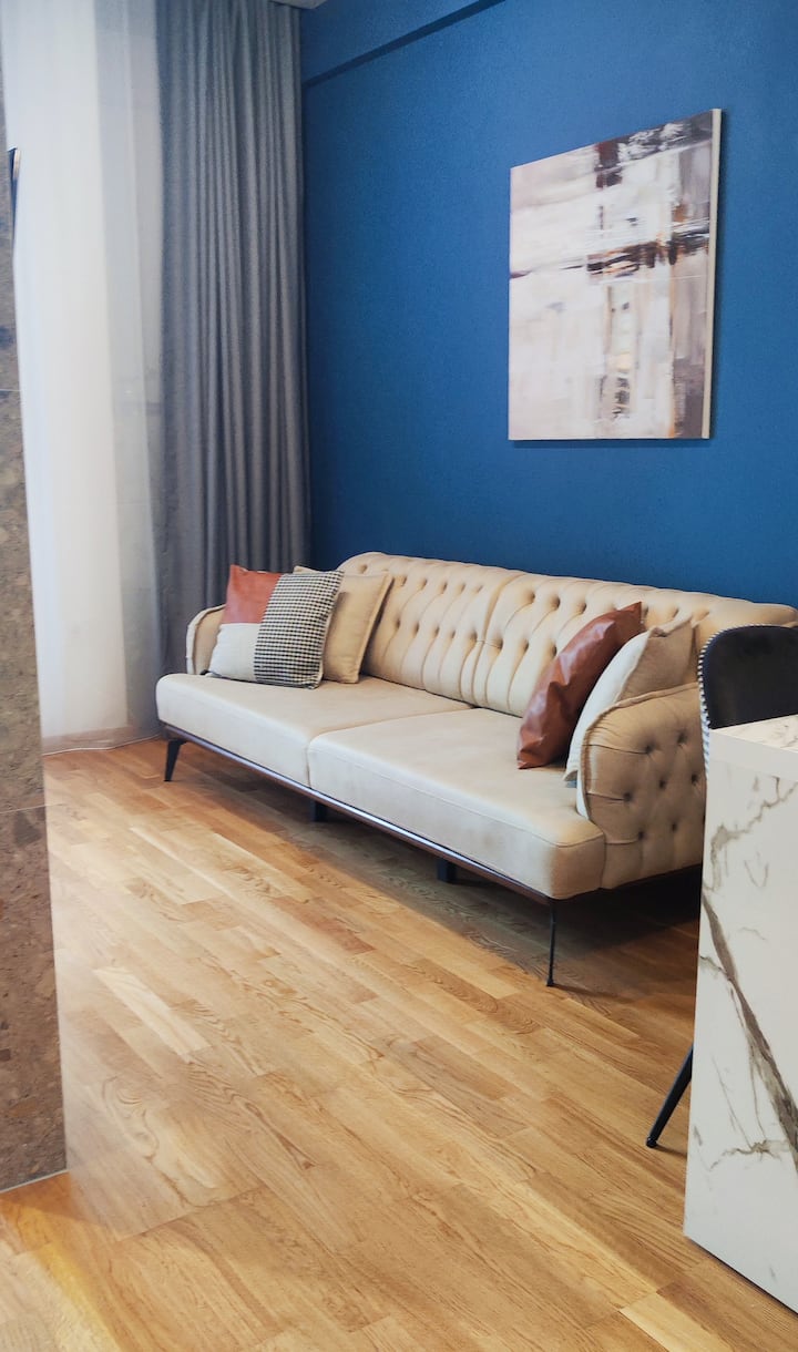 Elegant Apartment With Urban Charm - Podgorica