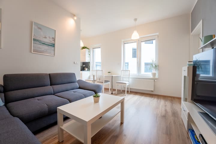 New Beautiful Apartment In Center/parking Provided - Brno