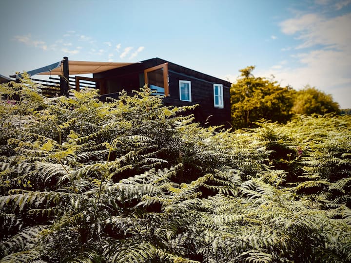 Slow Living Retreat On Dartmoor - Chagford