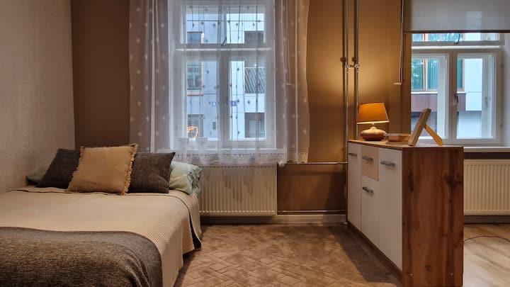 Studio In Prime Location - Tallinn