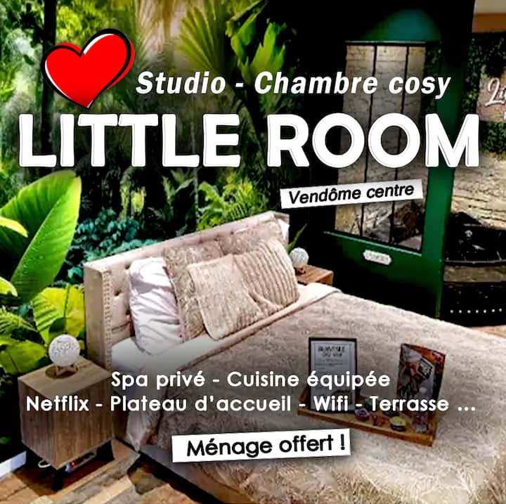 Appt Chambre Cosy - Jacuzzi  "Little Room Vendôme" - Vendôme
