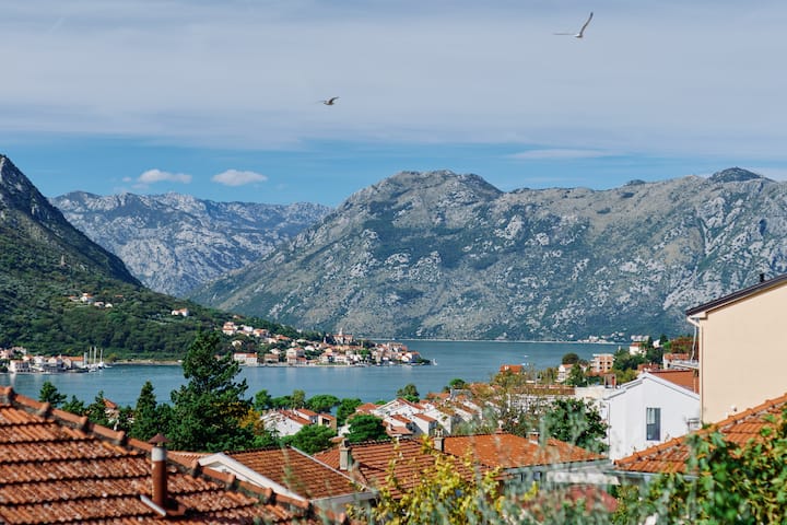 Gold Hill Apartment 2 - Kotor