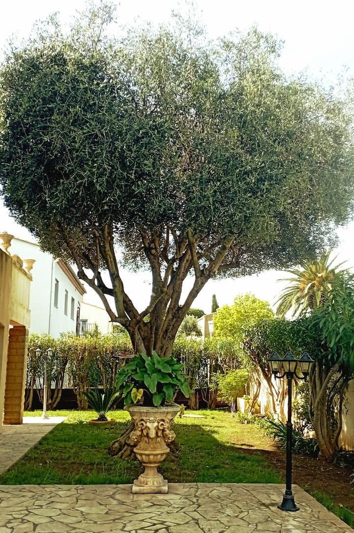 Rdc De Villa Terrasse Et Jardin - Grau d'Agde