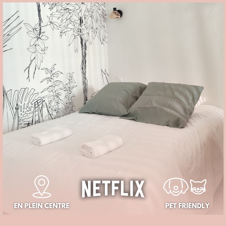 Studio 25m2 Centre Nimes, Animaux Ok, Netflix - Nîmes
