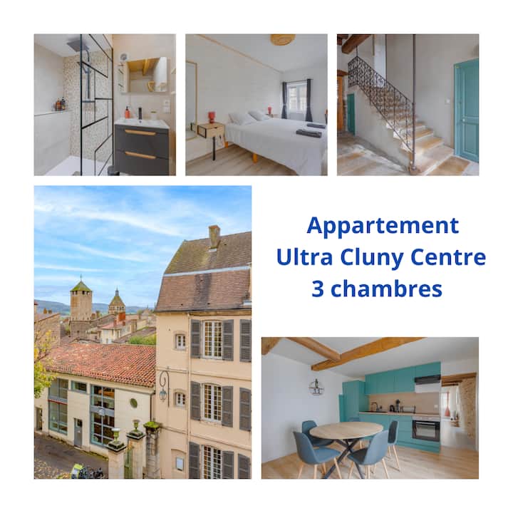 Le Cocoon Du Marché - Cluny - Cluny