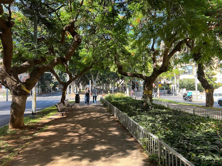 Office-apt In Rotschild! Parking Elavator Shelter - Tel Aviv