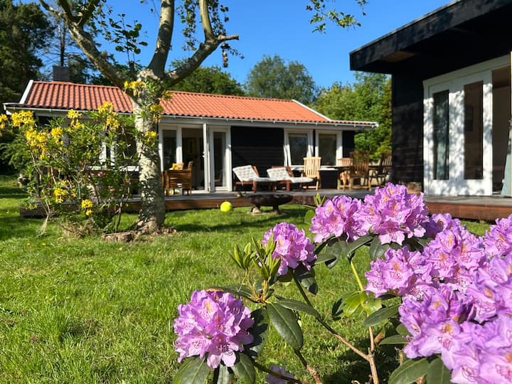 Cozy Family-friendly Summer House - Denmark