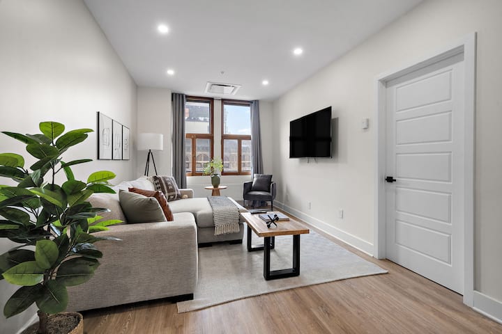 Luxurious New Historic 2 Bedroom Apartment - Montreal