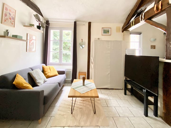 • Le Descartes • Wifi/ Hypercentre - Joué-lès-Tours