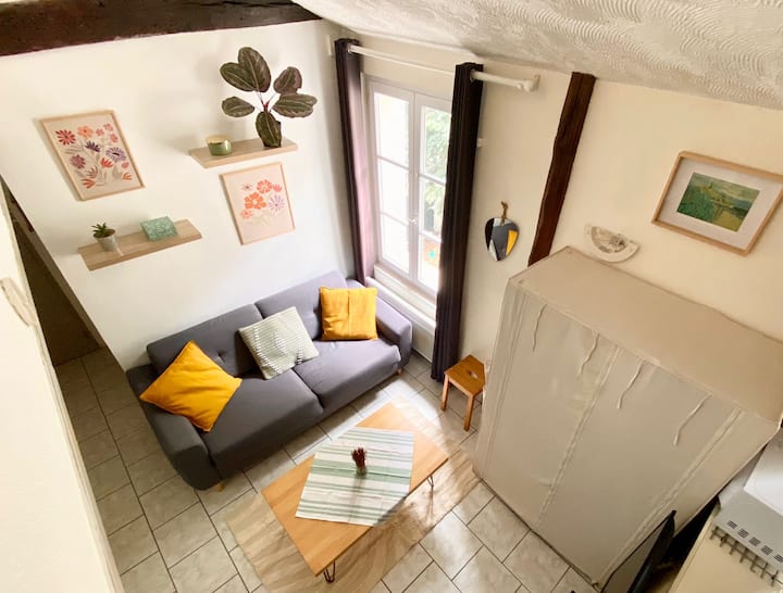 Le Descartes - Joli Duplex, 1min Des Halles à Pied - Tours