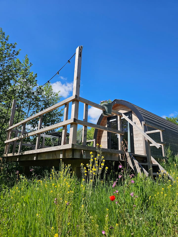 Tiny House "De Skierroek" - Frisia