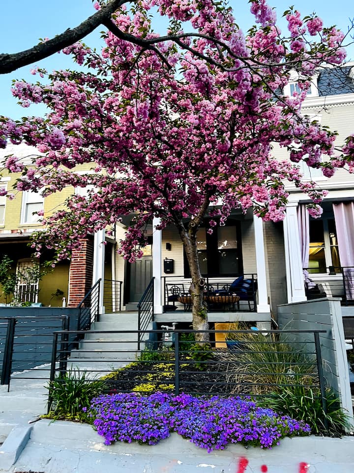 Eckington Apartment - Washington, DC