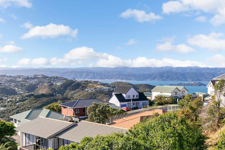 Wellington Highest Street -Panoramic View - Modern - Wellington