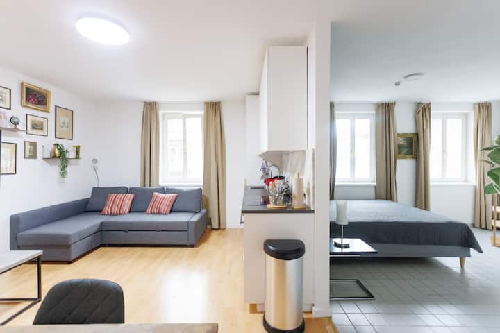 Family & Group Apartment - 15 Min To City Center - Vienna Central Station