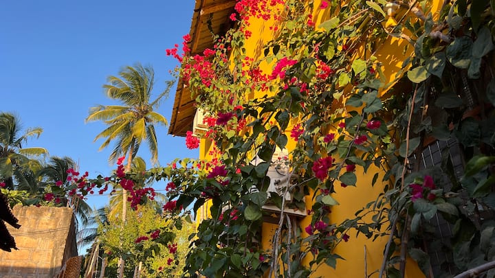 Free Cooking Class Included - 1 Min Walk To Beach - タンザニア