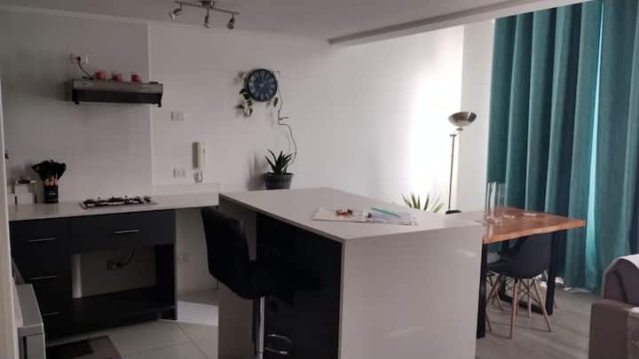 Cómodo Dúplex Familiar En El Corazón De Santiago - Santiago