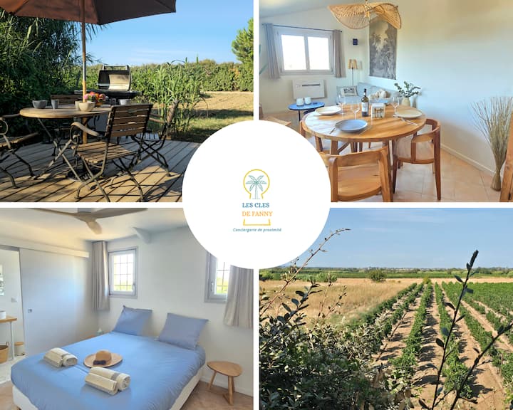 Domaine Des Lions - Logement Chaleureux Climatisé - Sauvian
