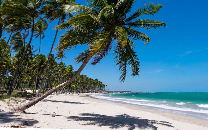 Apê Costa Serena | Refúgio & Charme Em Carneiros - Praia dos Carneiros