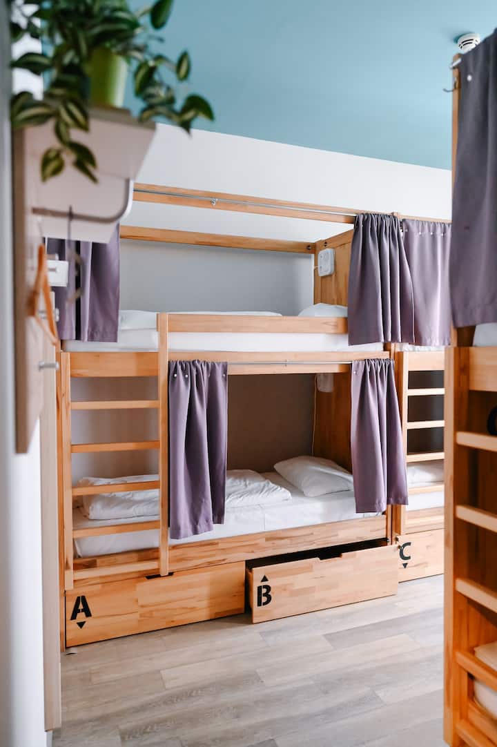 Bed In 6 Bed Room With Shared Bathroom In A Centre - プラハ