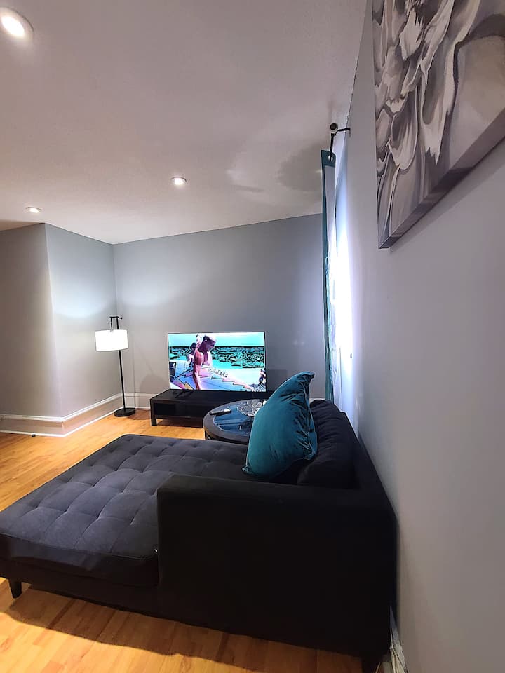 Large Room  In Downtown - 多倫多