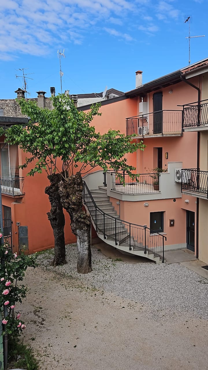 Ai Gelsi - Palmanova