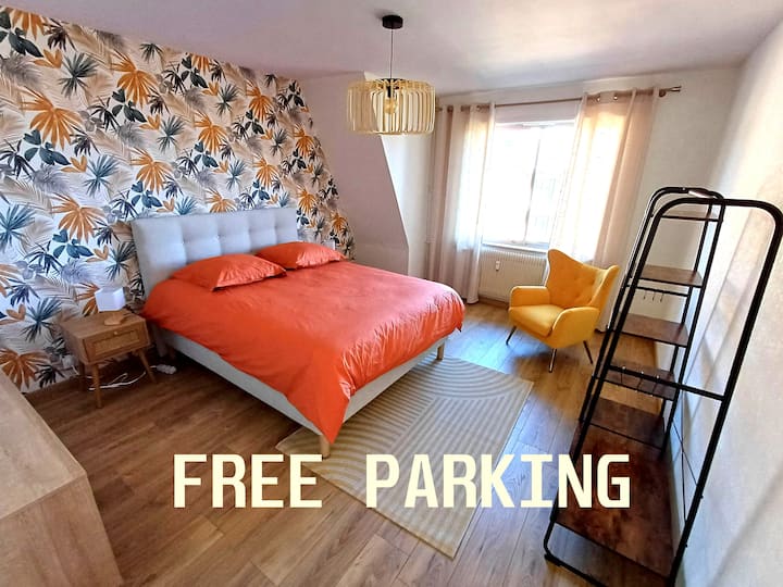 Confortable Grand Rue & Garage - Saverne