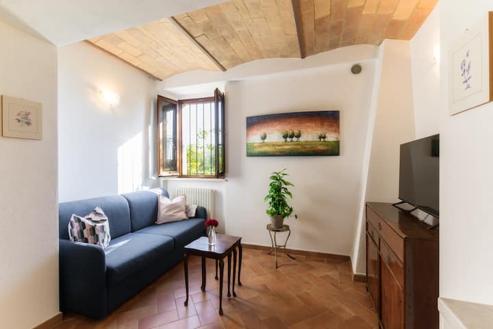 Montalcino Tuscan Home - Casa Vacanza Nel Centro - Montalcino