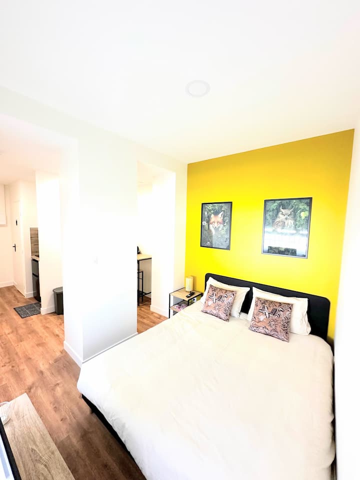 L’emile Zola 2 : Studio Cosy Yellow Hyper Centre - San Quintín
