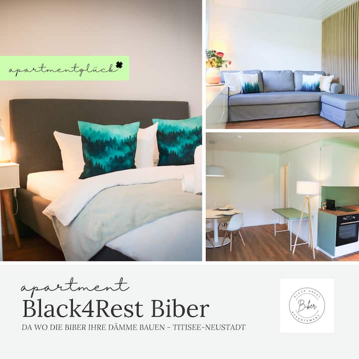 - Black4rest Apartment Biber - - Titisee-Neustadt