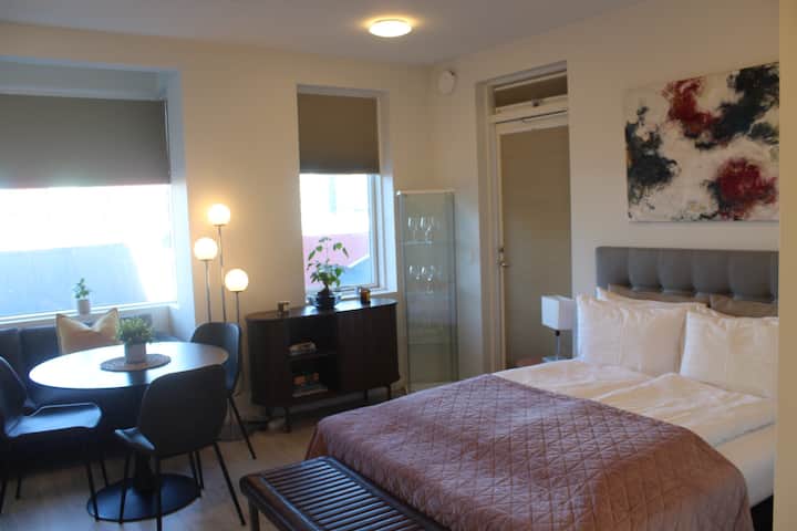 Cozy Studio Apartment - Reykjavík