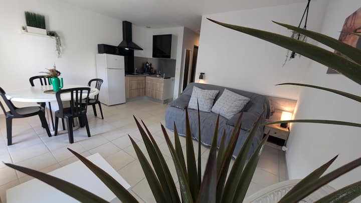 (P1) Studio Classé 4* 30m2 Calme Au Ctre-ville - Pierrelatte