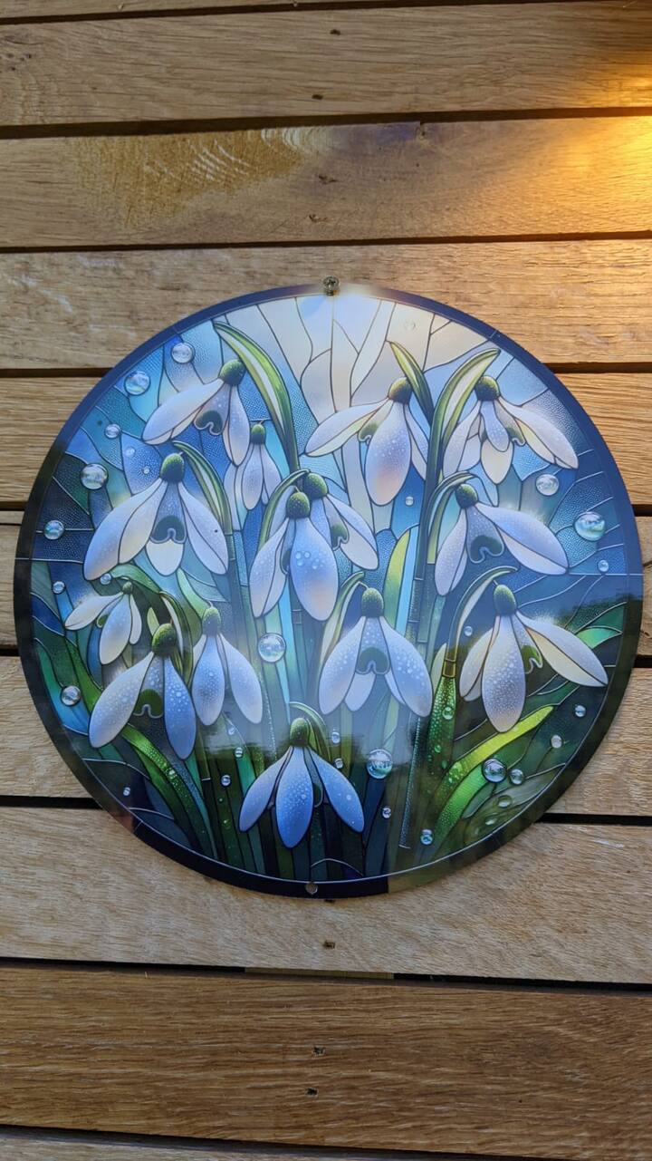 Snowdrop - Norfolk