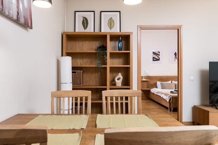Spacious Luxury All Inclusive Old Town Flat - Tallinn