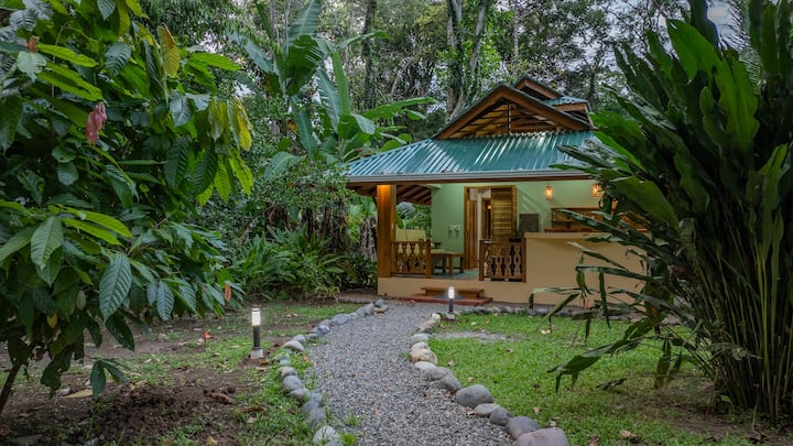 Msuite In Chiquita Casitas Nature All Around! - Punta Uva