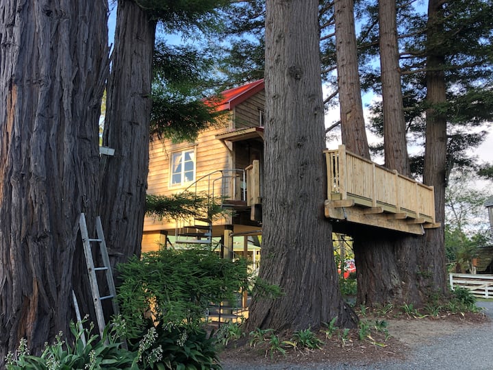 The Cedar Tree House - Rotorua
