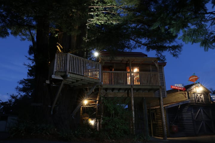 Your Adventure Starts Here - The Cedar Treehouse - Rotorua