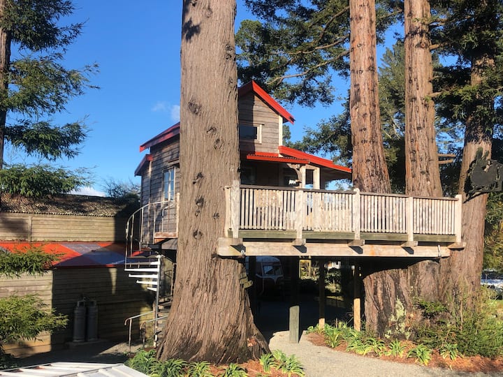 Your Adventure Starts Here - The Cedar Treehouse - Rotorua
