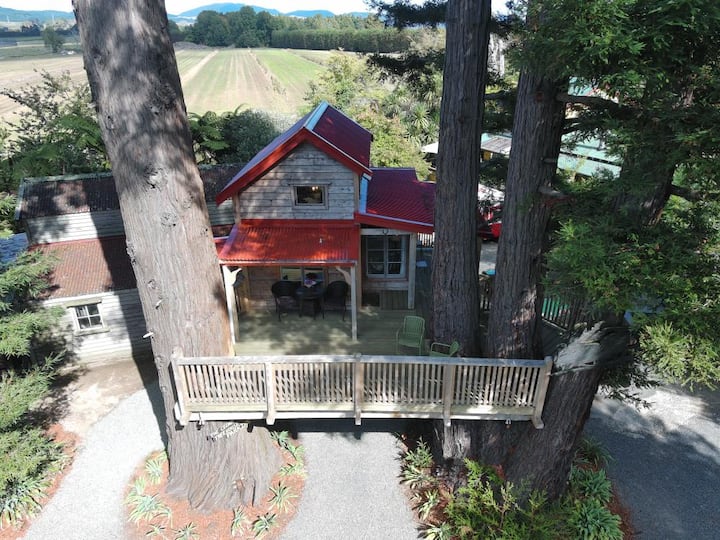 Your Adventure Starts Here - The Cedar Treehouse - Rotorua